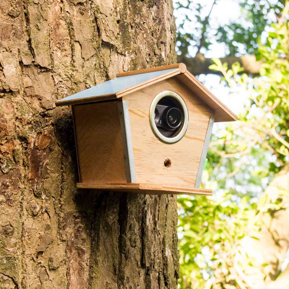 Top Five Places to Hide a Security Camera Outside